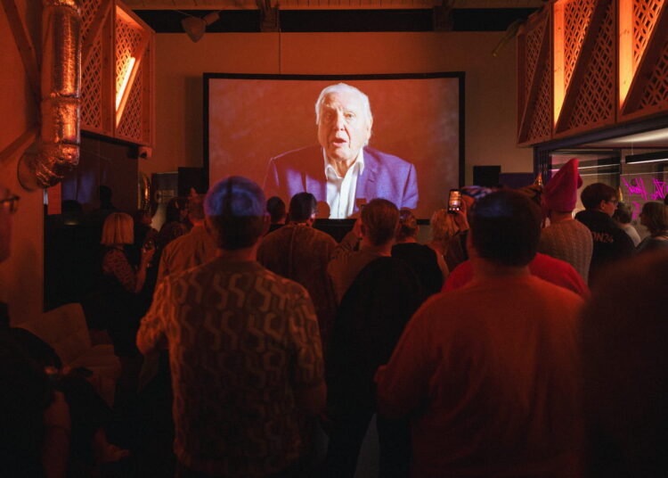 Ivo Graham goes wild at Attenborough rave and asks big question